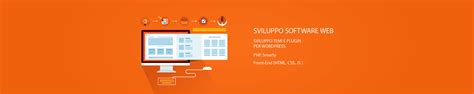 Web Developer Freelance Sviluppo Php Temi E Plugin Per Wordpress