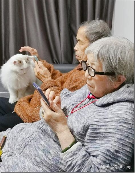 网瘾老人最漫不经心的撸猫 知乎