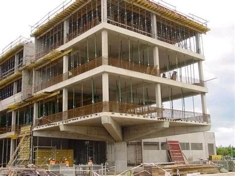 Tree Reinforced Concrete Column Civil Engineering