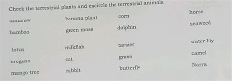 Check The Terrestrial Plants And Encircle The Studyx