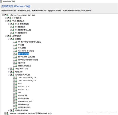 Win10下iis配置、项目发布、添加网站win10 Iis 发布勾设置 Csdn博客