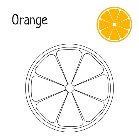 오렌지 색칠하기 프리미엄 벡터