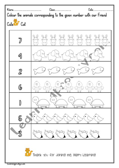 Maths Count And Match Learningprodigy