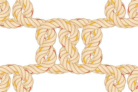 Seamless Pattern With Rope Bending String Backdrop Shape Vector String