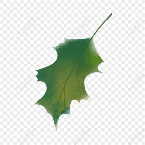 잎 요소 그림 일러스트 손으로 그린 크리에이티브 나뭇잎 이파리 선 그리기 Png 일러스트 무료 다운로드 Lovepik