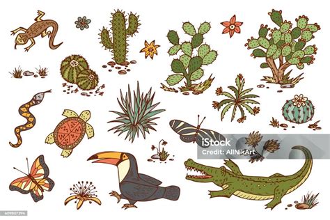 Flora Y Fauna De México Diversidad Natural Impresionante Teleflor