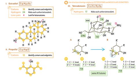 Mcat Biology And Biochemistry 22 Read Line Structures Ditki Medical