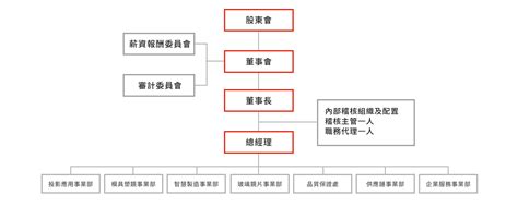 內部稽核 公司治理 Young Optics Everyones Optics