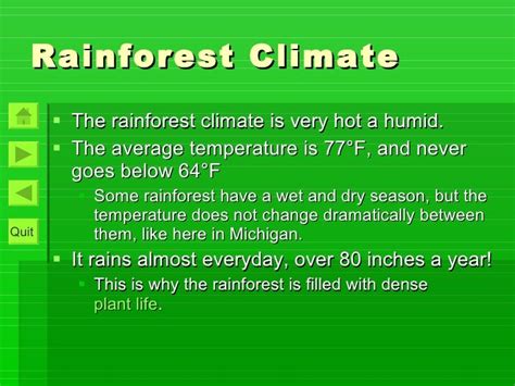 Tropical Rainforest Interactive Pp