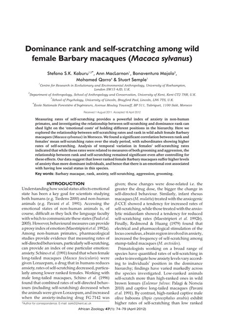 Pdf Dominance Rank And Self Scratching Among Wild Female Barbary Macaques Macaca Sylvanus