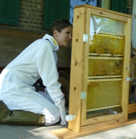 Honey Bee Observation Hives With Many Options Bonterra Bees Observation