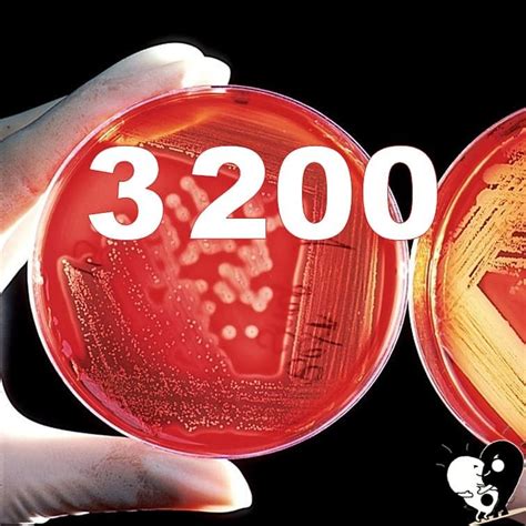 😱cest Nombre De Bacteries Que Vous Risquez De Transmettre Juste Avec