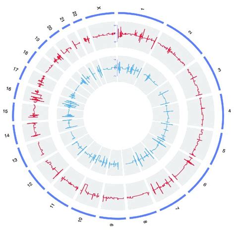 A Whole Genome View Of Copy Number Variations In Case And Control