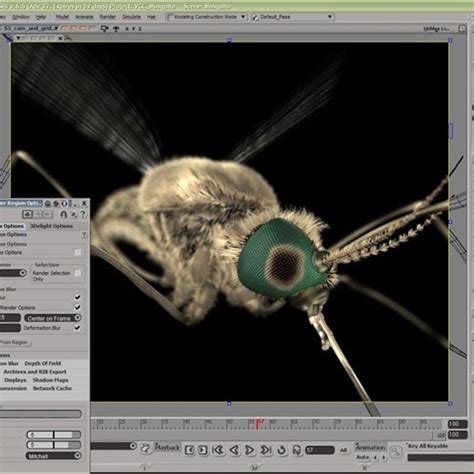 Autodesk Softimage Alternatives And Similar Software