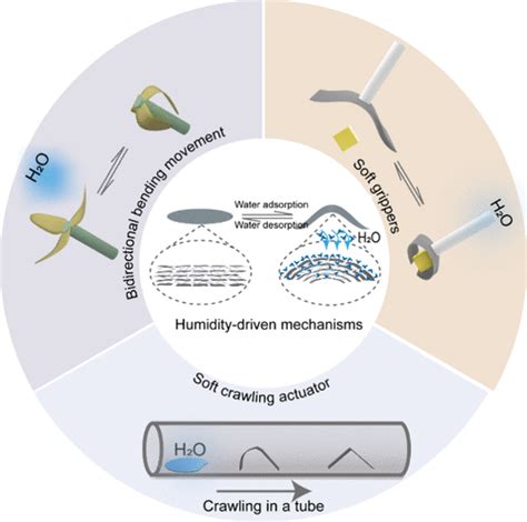 Mxene Based Soft Humidity Driven Actuator With High Sensitivity And Fast Response Acs Applied