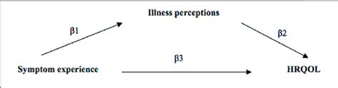 Hypothesized Pathways Of The Mediation Effect Of Illness Perceptions Download Scientific