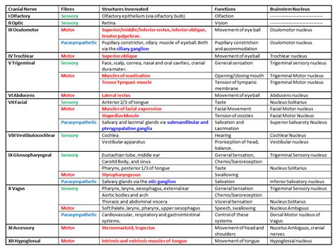 Spirited Speech Pathology Cranial Nerves