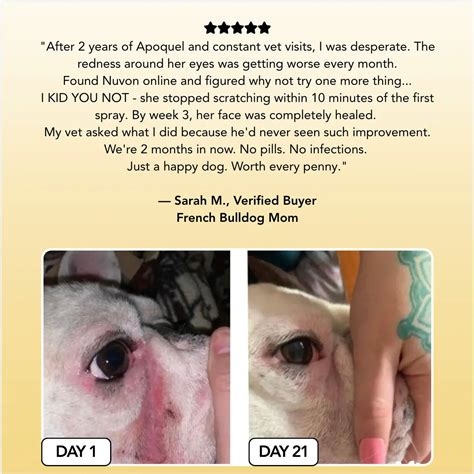 Vet Backed Skin Relief Spray Nuvon