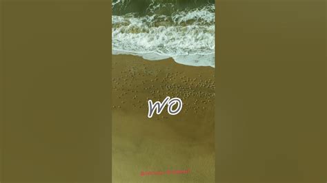 เพลง พอ เพลง เพลงใหม่ เพลงฮิต เพลงดัง เพลงฮิตในtiktok เพลงดังในtiktok เพลงเพราะ Youtube