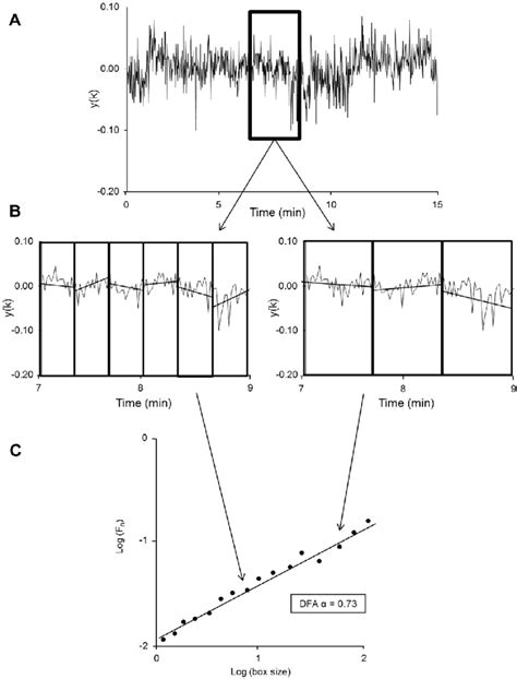 Visualization Of A Portion Of The Detrended Fluctuation Analysis Dfa