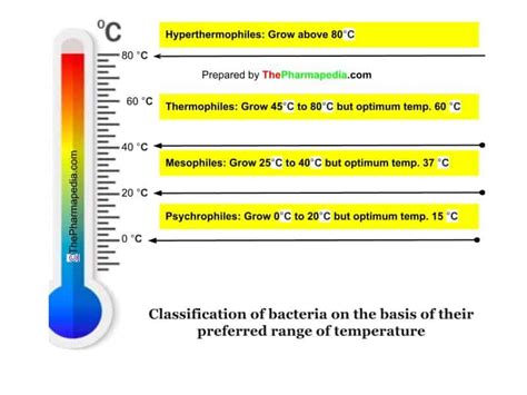 Classification Of Bacteria On The Basis Of Nutrition Oxygen