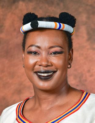 Stella Ndabeni Abrahams Ms South African Government