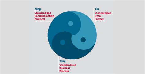 Twenty Years Of Yin Yang Yong