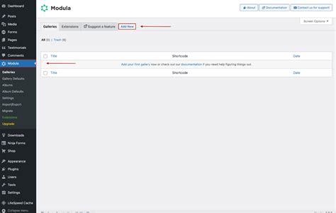 Insert Modula Galleries In WordPress Posts And Pages