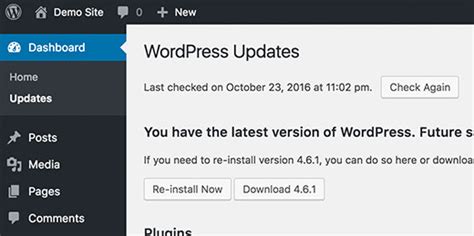 How To Disable Automatic Update Email Notification In Wordpress