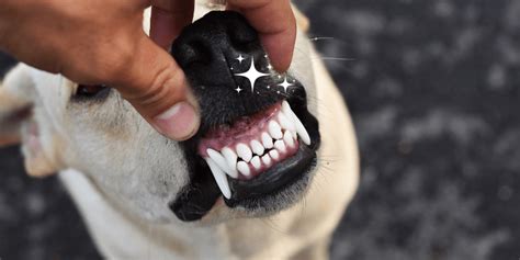 How To Whiten Teeth In GIMP Steps With Screenshots