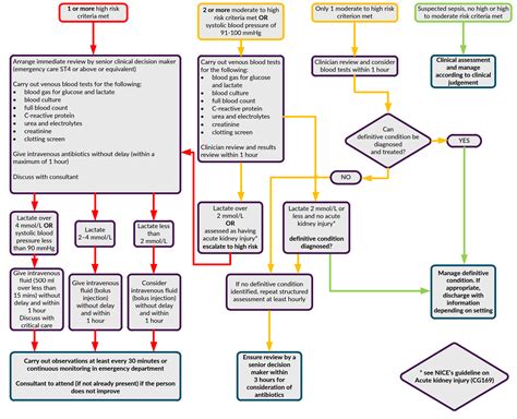 Sepsis Definition And Recognition Sepsis 6 Geeky Medics