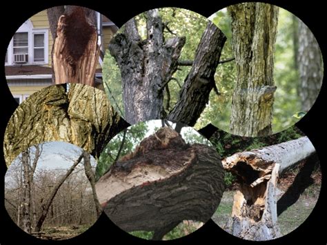 Data Management And Editing In Arcgis Pro