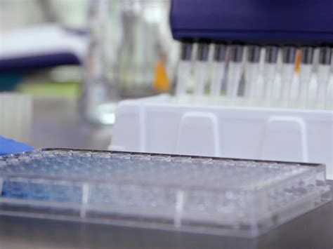 Video High Throughput Identification Of Synergistic Drug Combinations By The Overlap2 Method