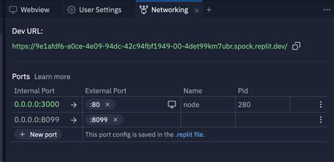 Replit — Advanced Port Configuration
