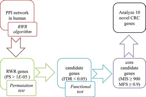 Flowchart Of The Proposed Rwr Based Method For The Identification Of
