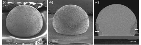 sem image of a single sac305 solder ball attached to a ball grid array