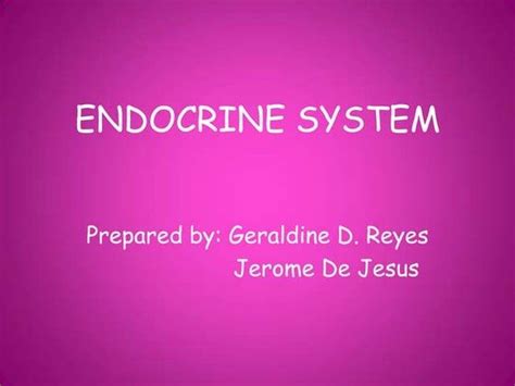 Endocrine System Summary Artofit
