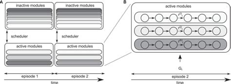 Schematic Representation Of The Modular Credit Assignment Problem A