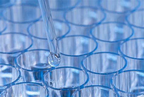 Ptms Proteomics Post Translational Modification In Protein Synthesis
