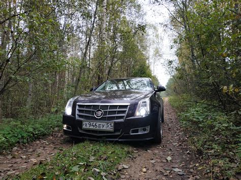 Резина Zeta Alventi — Cadillac CTS (2G), 3,6 л, 2008 года | шины | DRIVE2