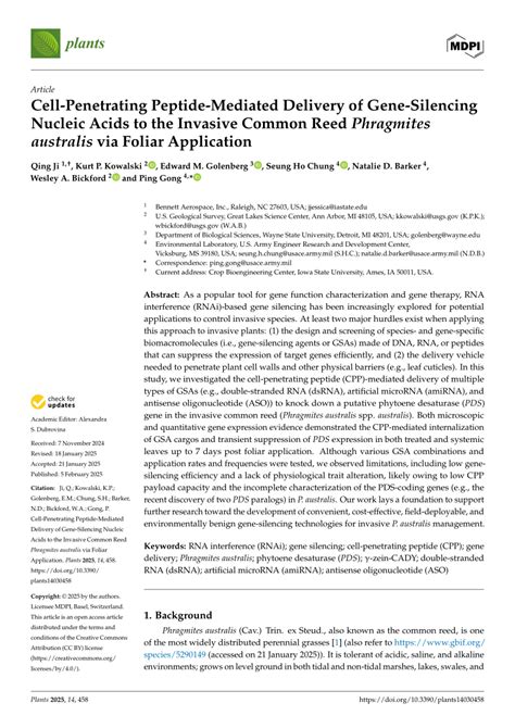 Pdf Cell Penetrating Peptide Mediated Delivery Of Gene Silencing Nucleic Acids To The Invasive