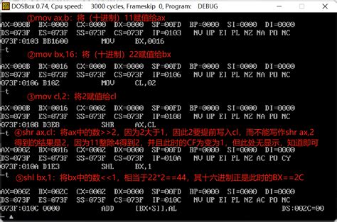 速通汇编（四）汇编常用操作符，andandorandneg、shlandshr、incanddec、xchg指令 博图v16里shl shr inc指令什么