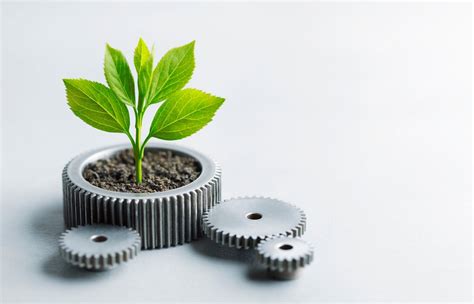 Sostenibilità Ambientale Perché Essere Società Benefit Lomec