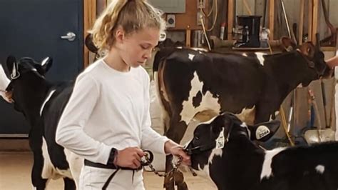 Exhibition Cancellations Disappointing But 4 H Carries On Cbc News