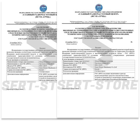 Заключение Главного радиочастотного центра на РЭС и ВЧУ