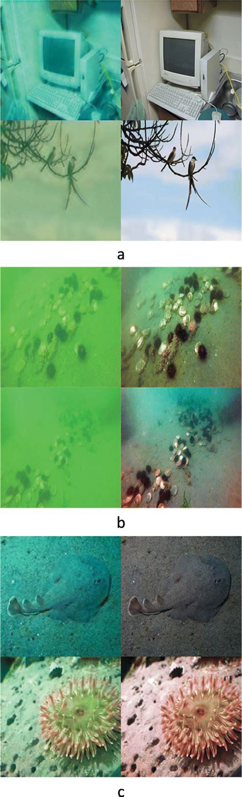 Our Training Dataset Which Consists Of Three Datasets A Synthetic