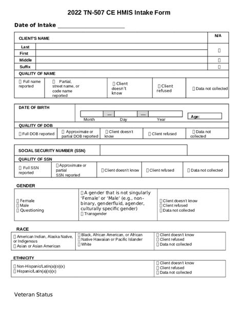 HMIS Data Elements And Definitions Doc Template PdfFiller