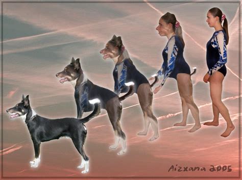 Dog Morph By Aizxana On Deviantart