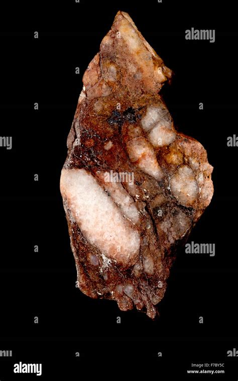 Metaconglomerate Metamorphic Rock