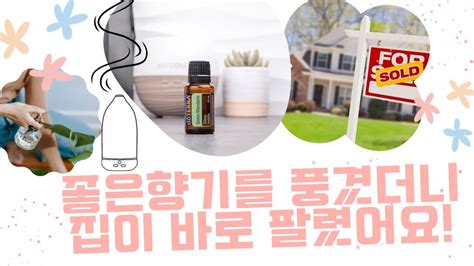 좋은향기를 풍겼더니 3일만에 집이 팔렸어요 Youtube